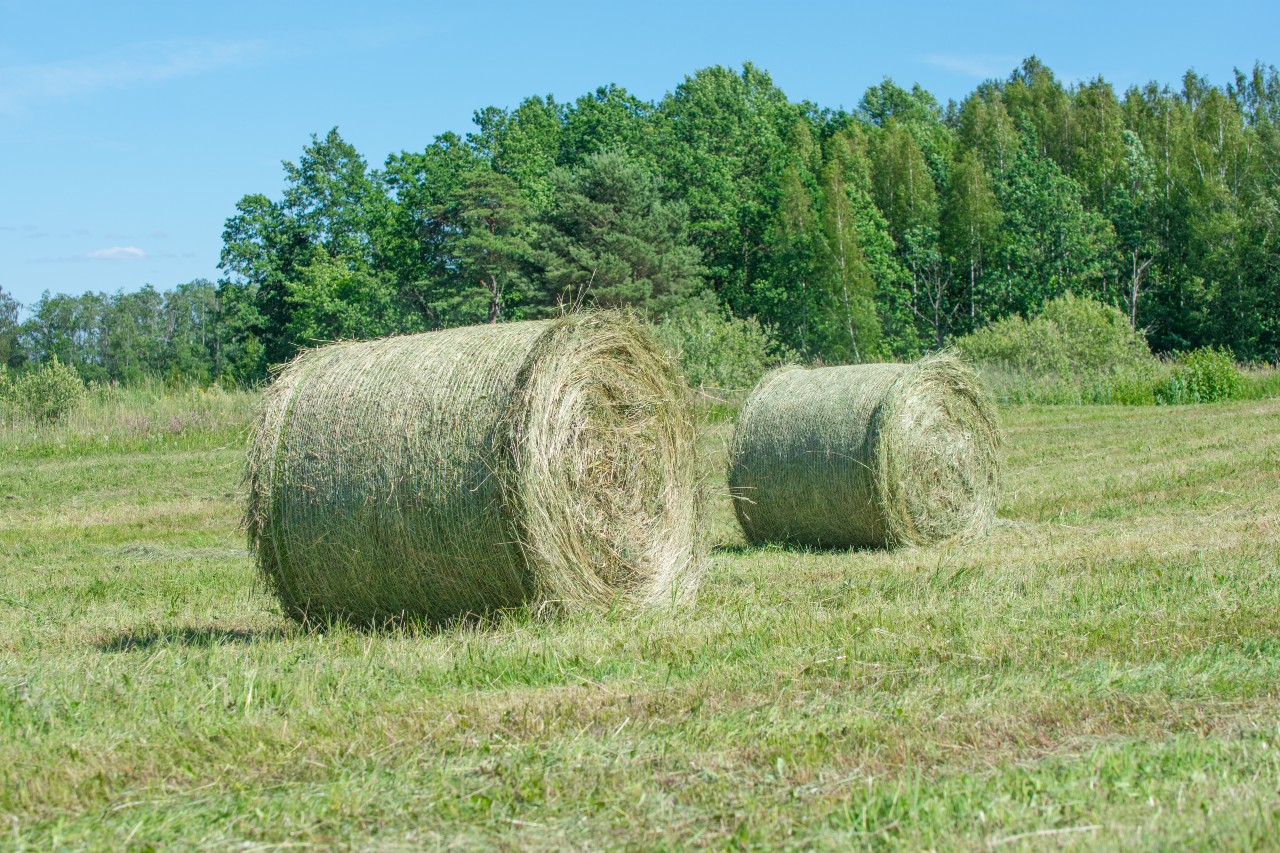 4 Factors That Can Speed Up or Slow Down Dry-Down Time