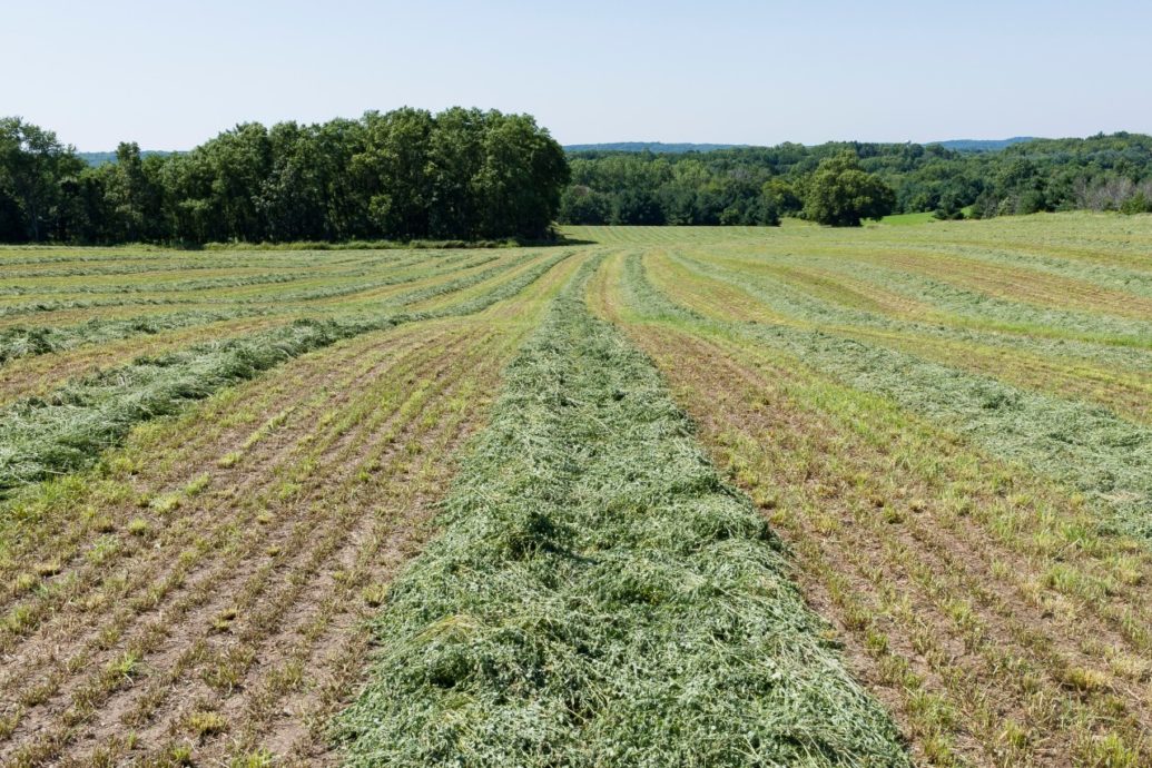 A Comprehensive Guide to Hay Equipment Maintenance : The Crusher