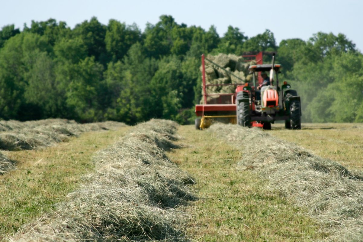 6-hazards-of-rushing-your-hay-baling-process : B&D Rollers : The Crusher