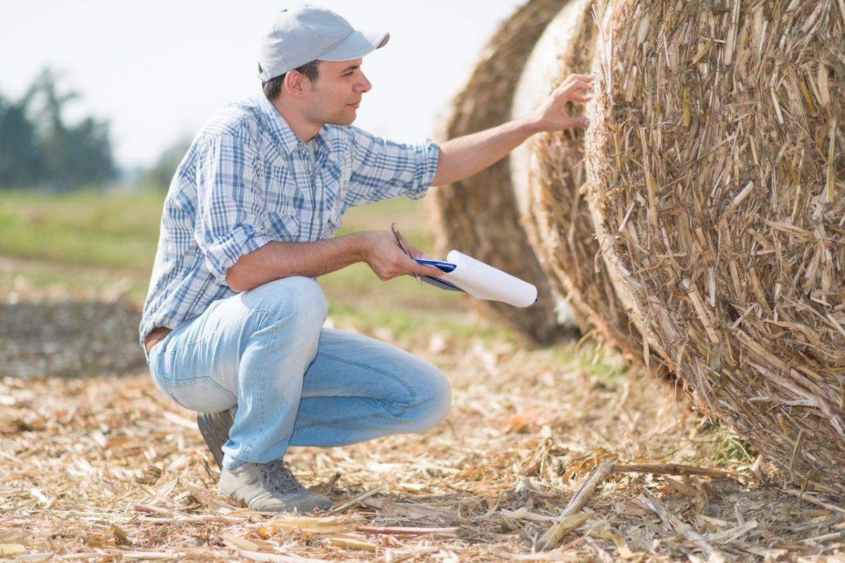 6-hazards-of-rushing-your-hay-baling-process : B&D Rollers : The Crusher