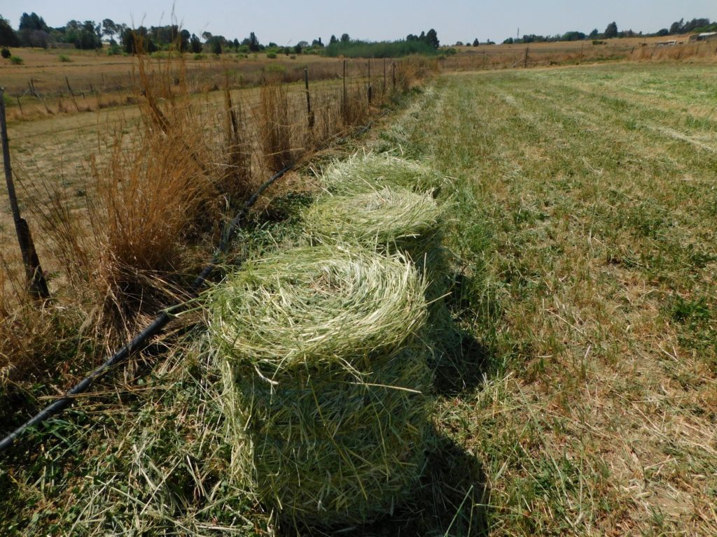 5 Signs It's Time for Replacement Hay Conditioner Rollers : B&D Rollers ...