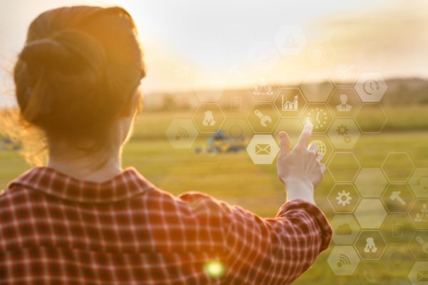 Steel vs. Rubber Hay Rollers: A Comprehensive Comparison : The Crusher