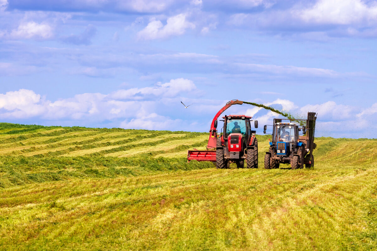 Steel vs. Rubber Hay Rollers: A Comprehensive Comparison : B&D Rollers ...