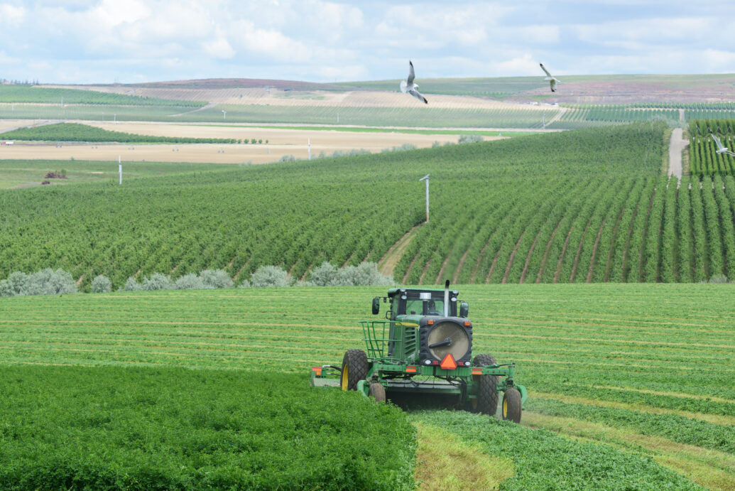 5 Signs It's Time for Replacement Hay Conditioner Rollers : The Crusher