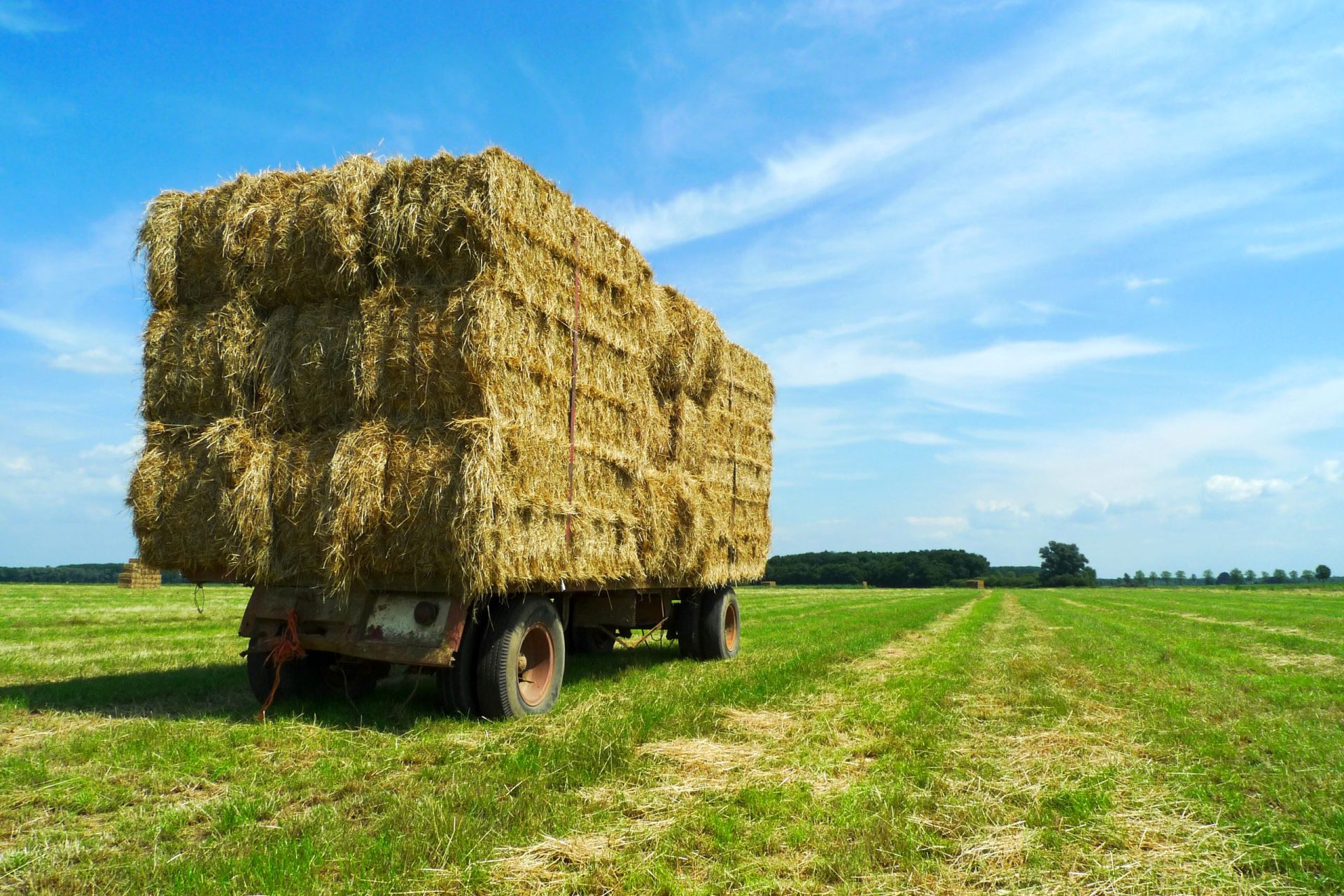 How the Condition of Rubber Hay Rollers Impacts Hay-Drying Time : THE ...