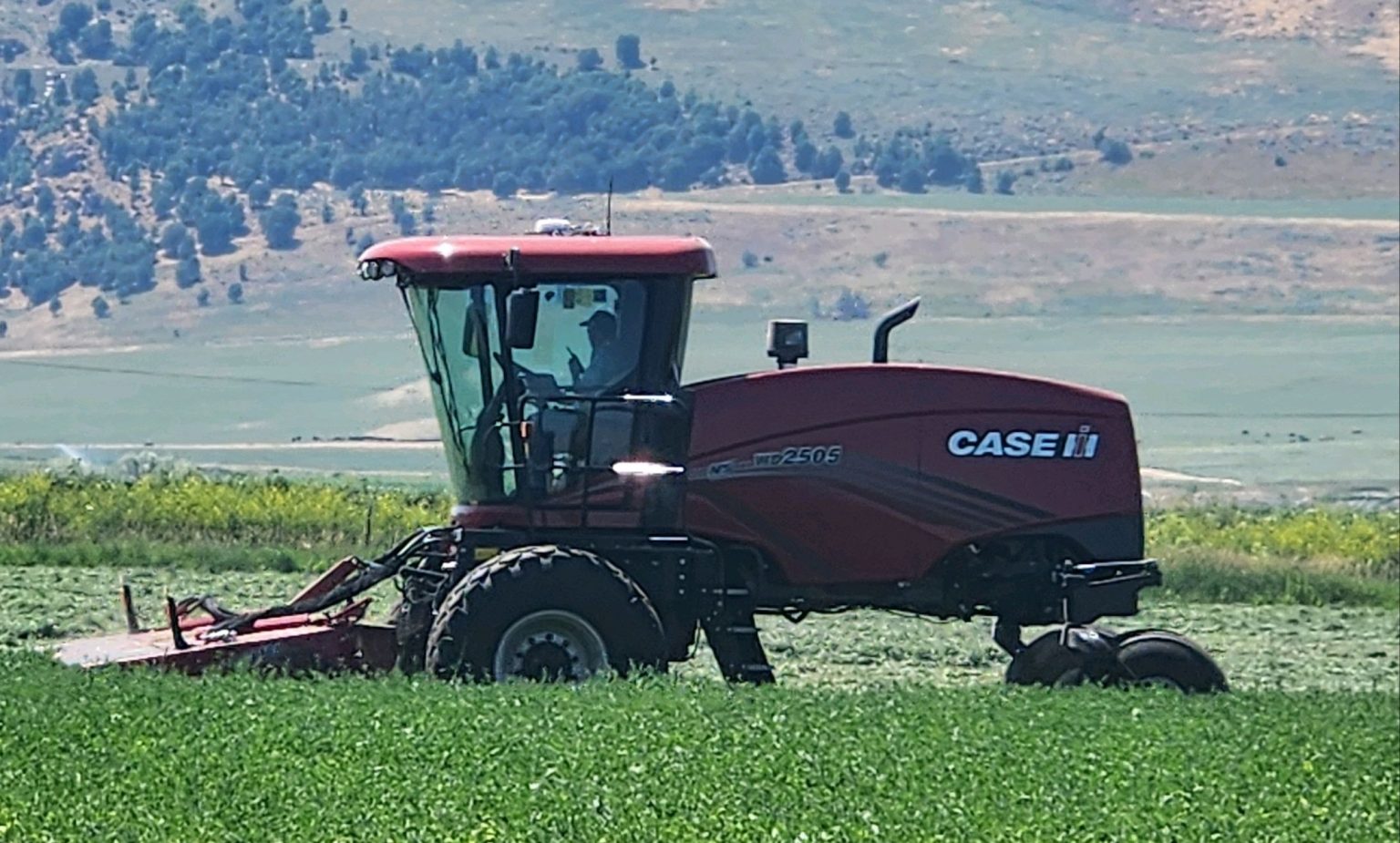 Steel vs. Rubber Hay Rollers: A Comprehensive Comparison : THE Crusher