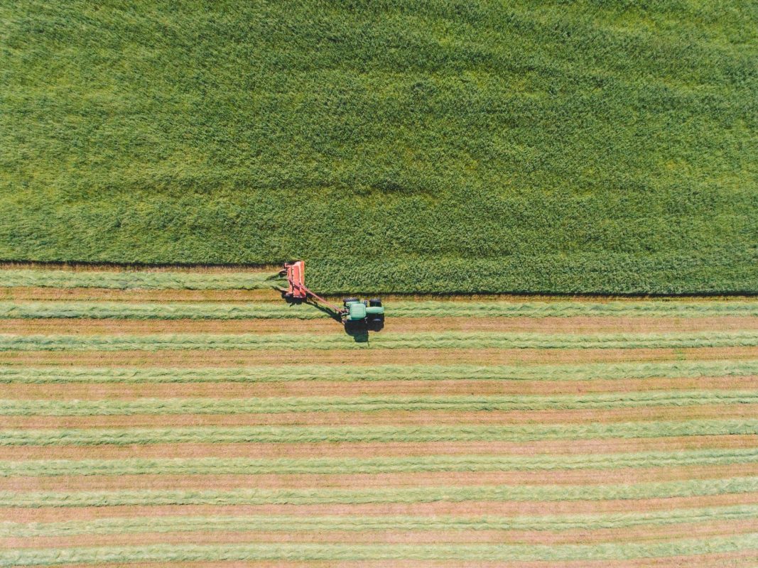 Steel vs. Rubber Hay Rollers: A Comprehensive Comparison : THE Crusher