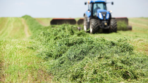 Steel vs. Rubber Hay Rollers: A Comprehensive Comparison : THE Crusher